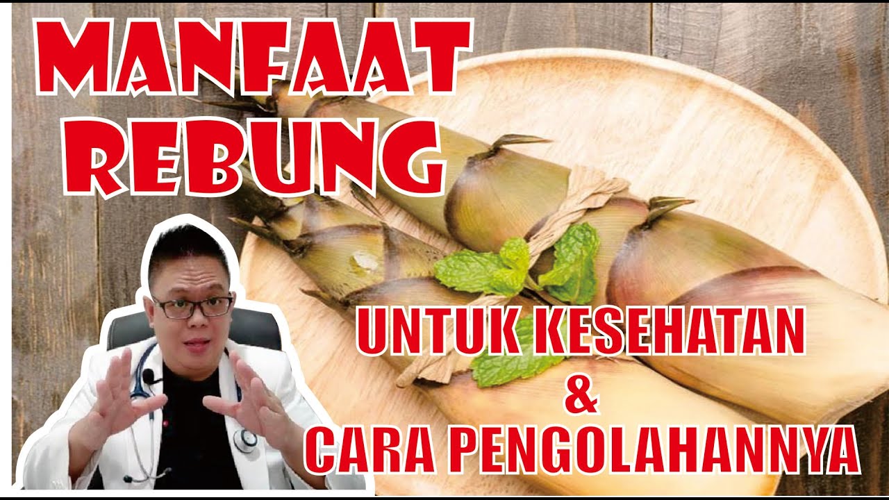 MANFAAT REBUNG UNTUK KESEHATAN DAN CARA PENGOLAHANNYA - YouTube
