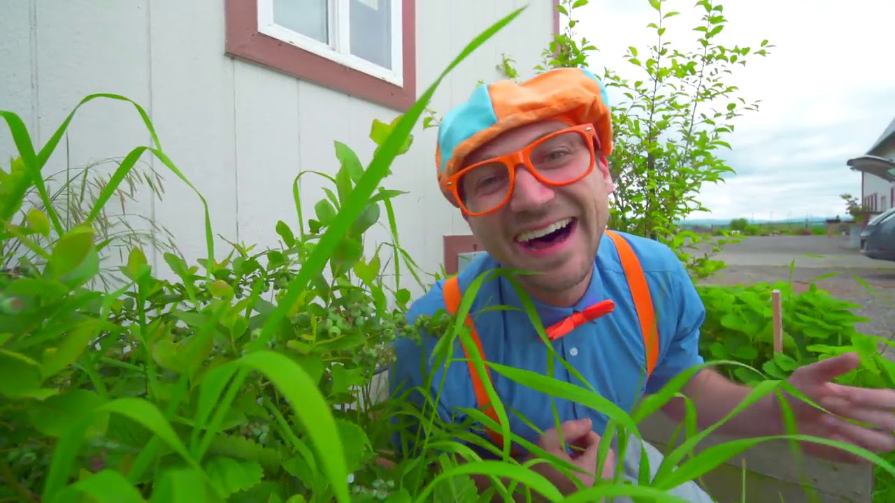 Blippi Farm Tour Farm Animals and Vegetables for Kids - YouTube