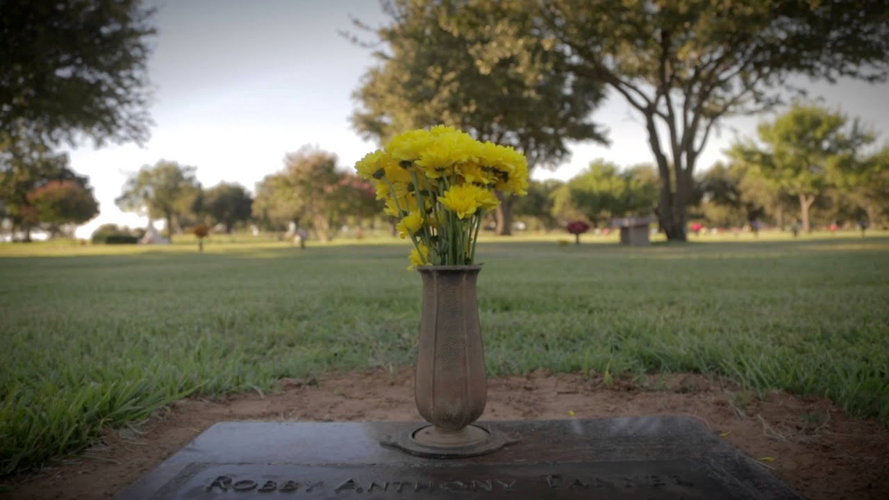 Lisa Gail Allred Rainbows The Official Music Video - YouTube