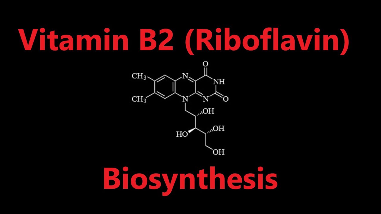Vitamin B2 Structure