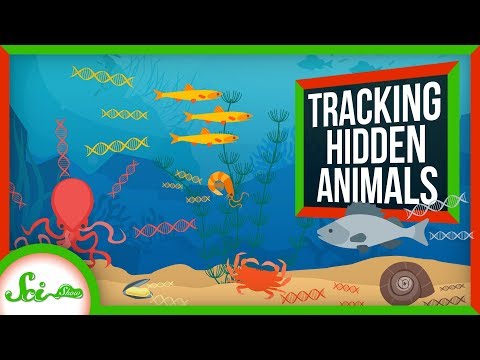 eDNA: How Scientists See Hidden Animals