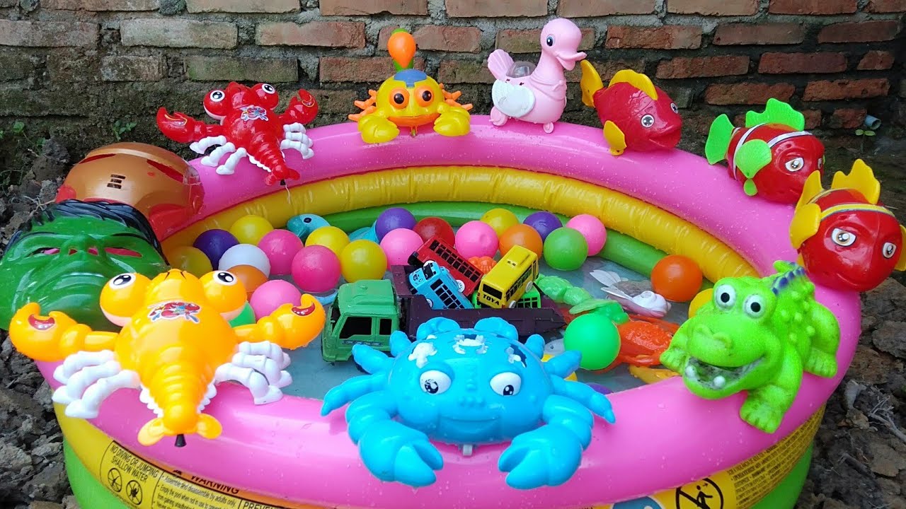 MENEMUKAN IKAN HIAS, BEBEK, GAJAH, MOBIL MOBILAN, IKAN NEMO, KEPITING ...