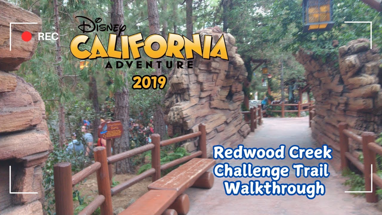 2019 Disney California Adventure Redwood Creek Challenge Trail ...