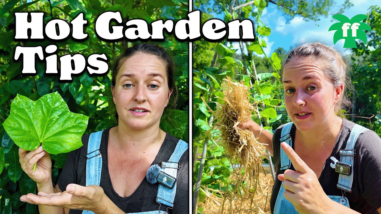 Tips for Gardening when Summer Gets HOT - YouTube