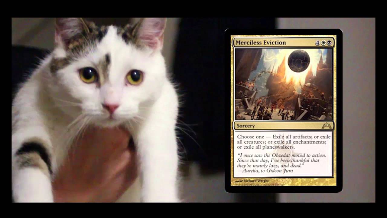 Heart of the cards [Anime/MTG parody] - YouTube