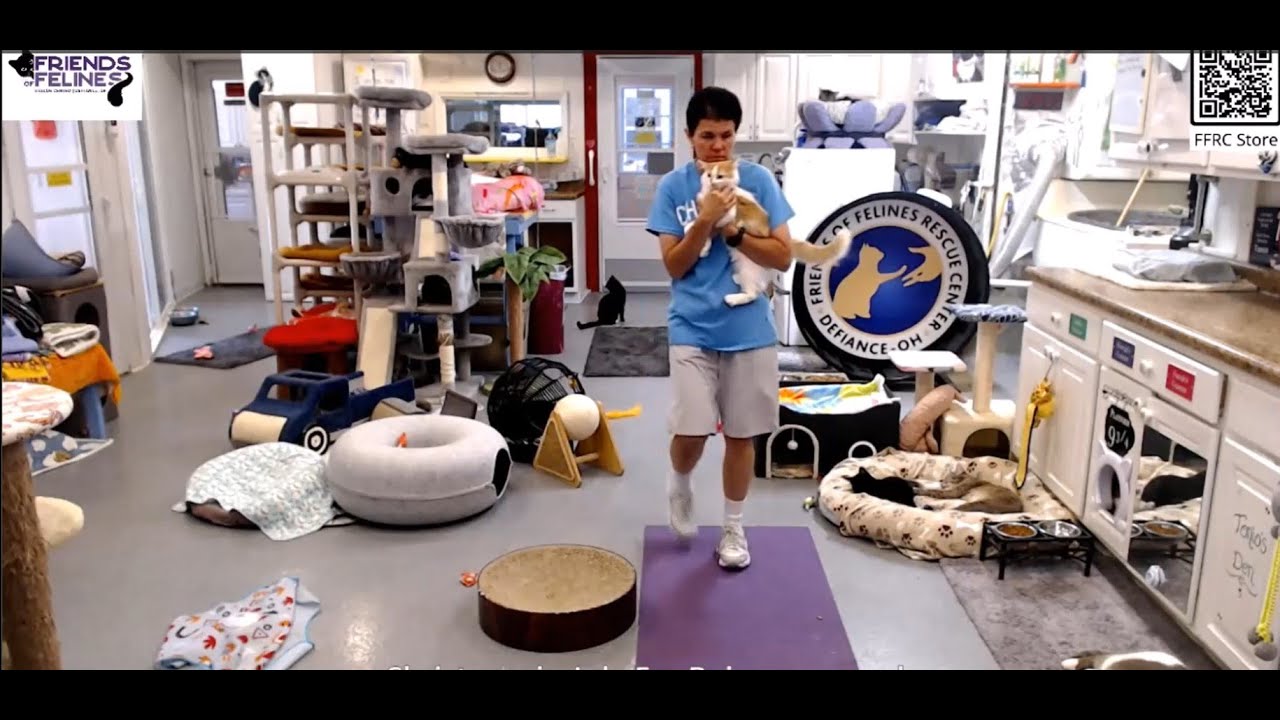 Popsicle Loves Cindy 07-15-2025 Friends of Felines Rescue Center (FFRC) - YouTube