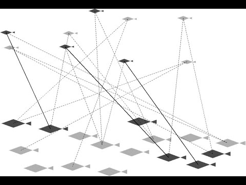 Euring2023 close-kin mark-recapture workshop - YouTube