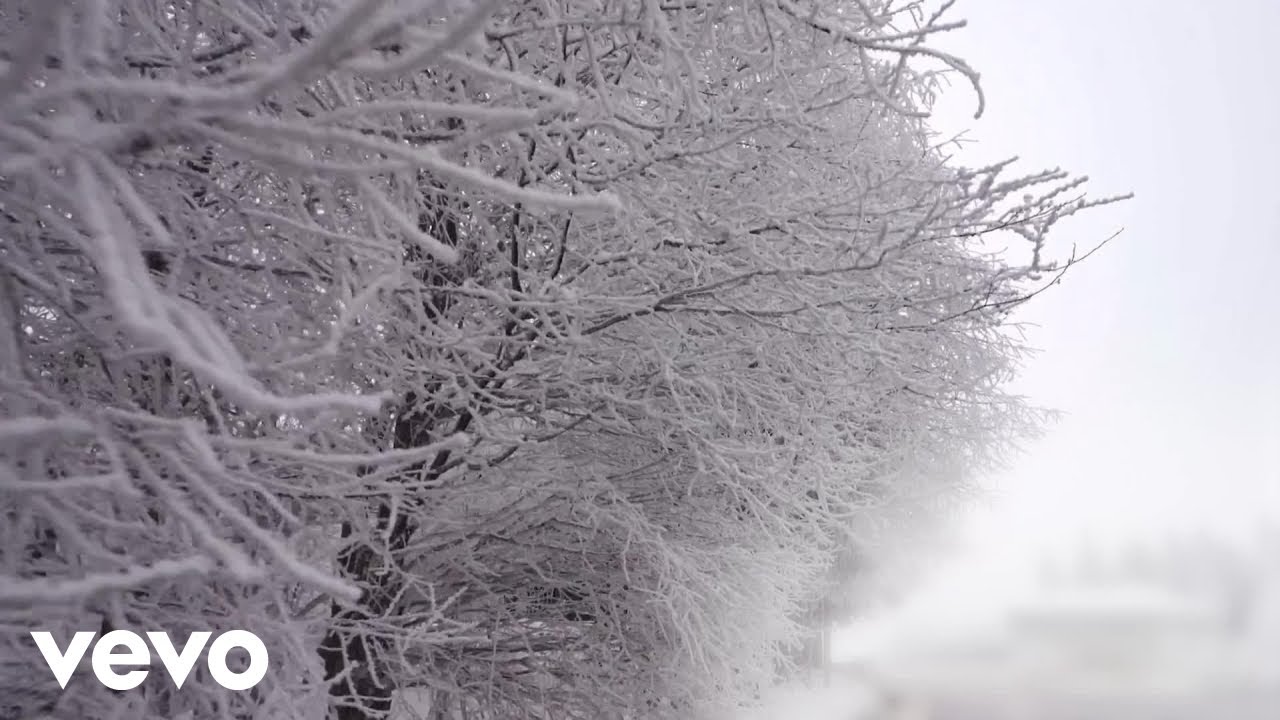 Chris Gaertner - Thrush (Official Music Video) - YouTube