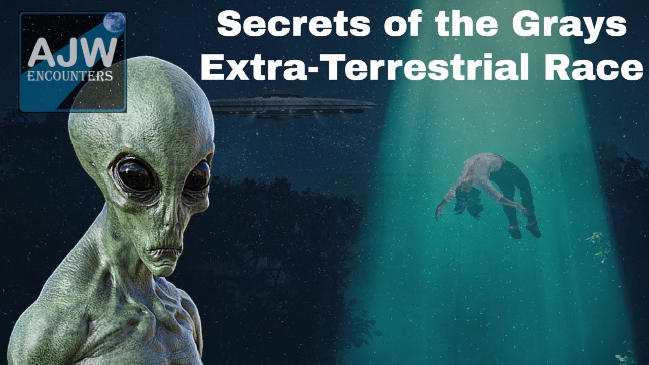 Secrets of the Greys extra-terrestrial race. Grays Alien UFO ...