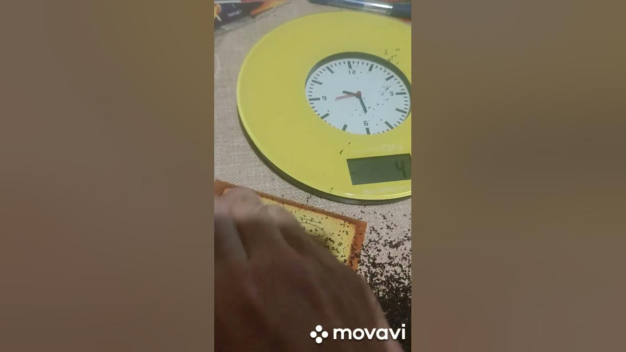 ПЖВМ , Огнёвка, Восковая моль , Личинки восковой моль . - YouTube