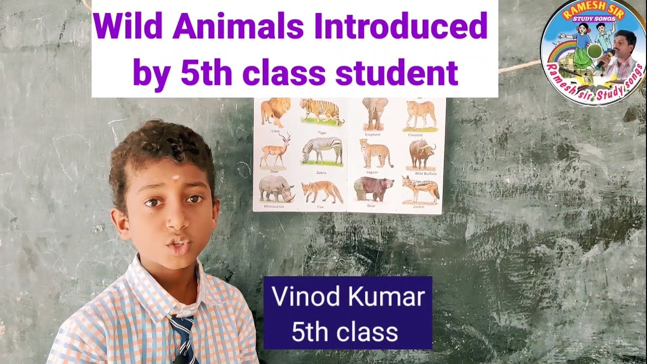 Wild animals/in English/vocabulary development/sentences - YouTube