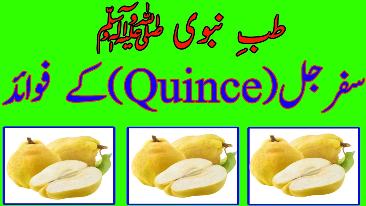 Huzoor ﷺ Ka Bataya Huwa Jannati Phal | Benefits Of Safarjal | Bahi ...