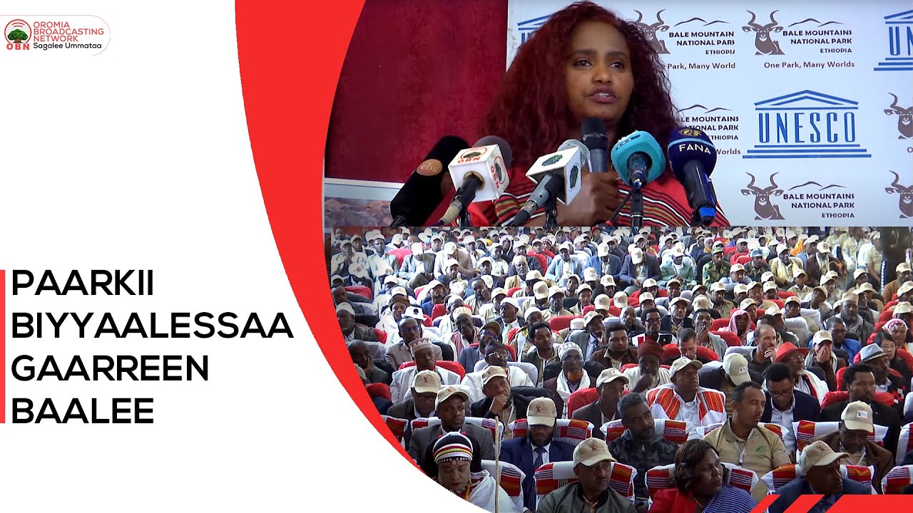 Paarkii Biyyaalessaa Gaarreen Baalee - YouTube