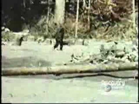 Bigfoot Patterson Film Part 2 - YouTube