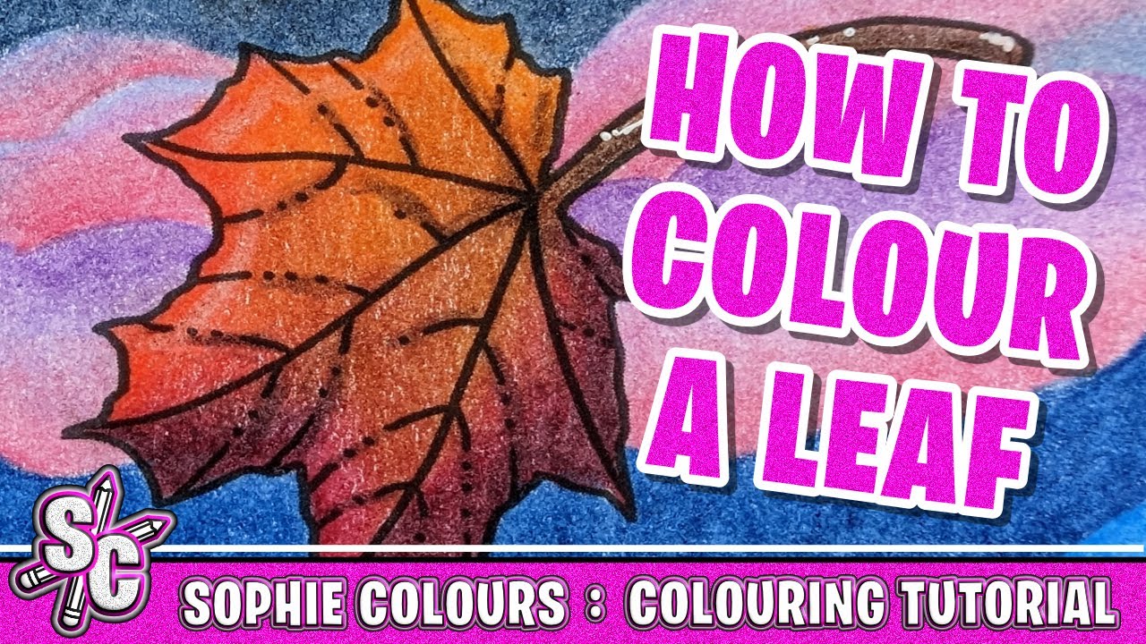 HOW TO COLOUR A LEAF - Colouring Tutorials by Sophie Colours - YouTube