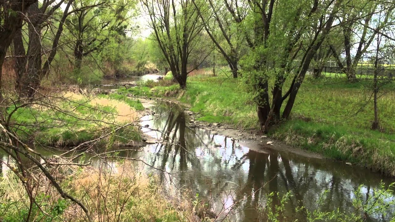 just nature - YouTube