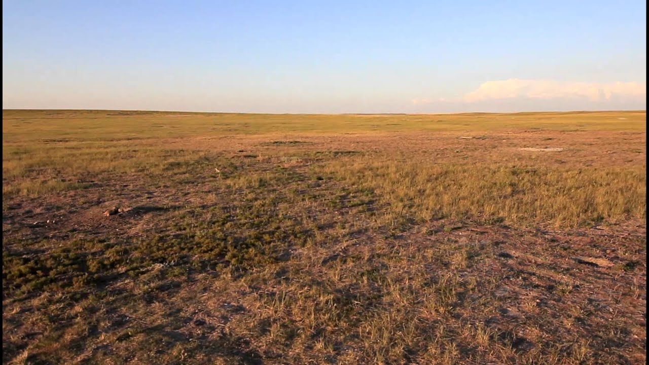 201108 - Badlands National Park Roberts Prairie Dog Town, South Dakota ...