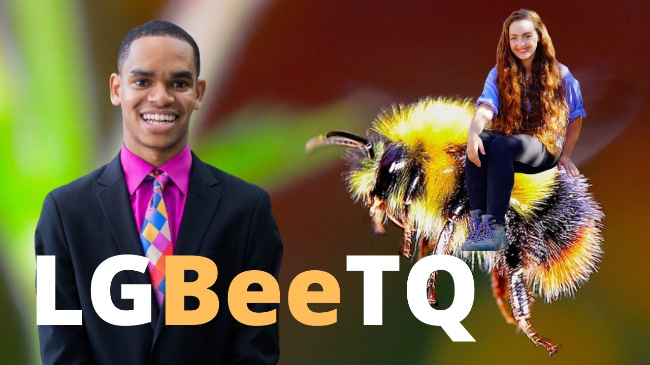 Comrade Bumble Bees? | Interview with Freddy Purnell - YouTube