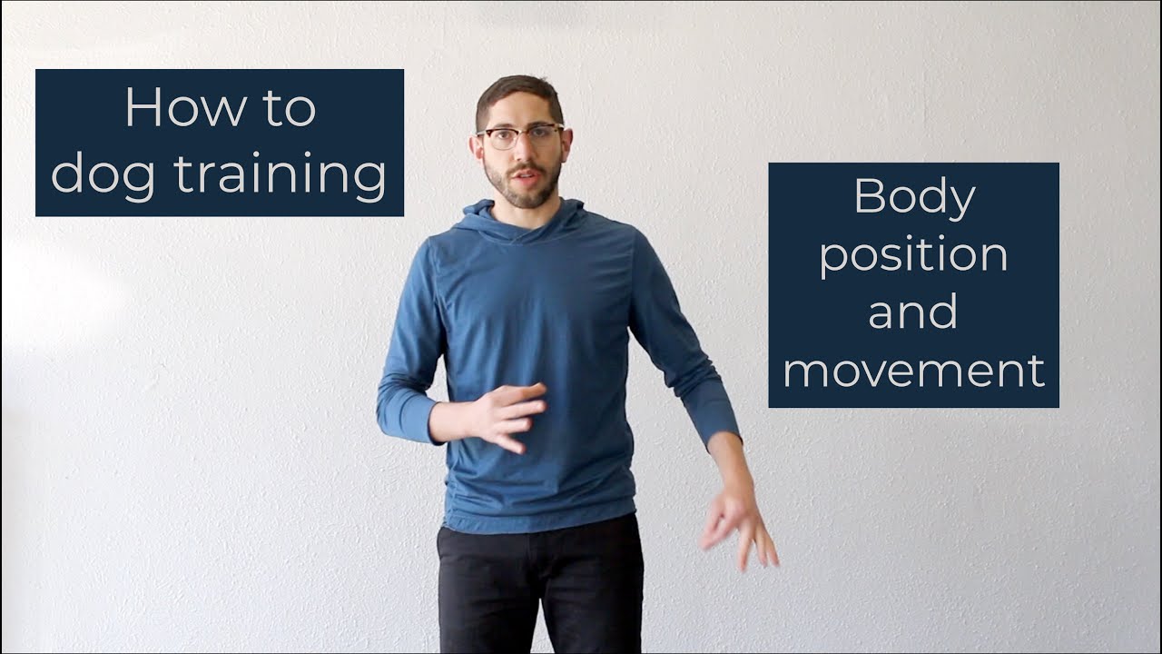 Body position and movement - YouTube