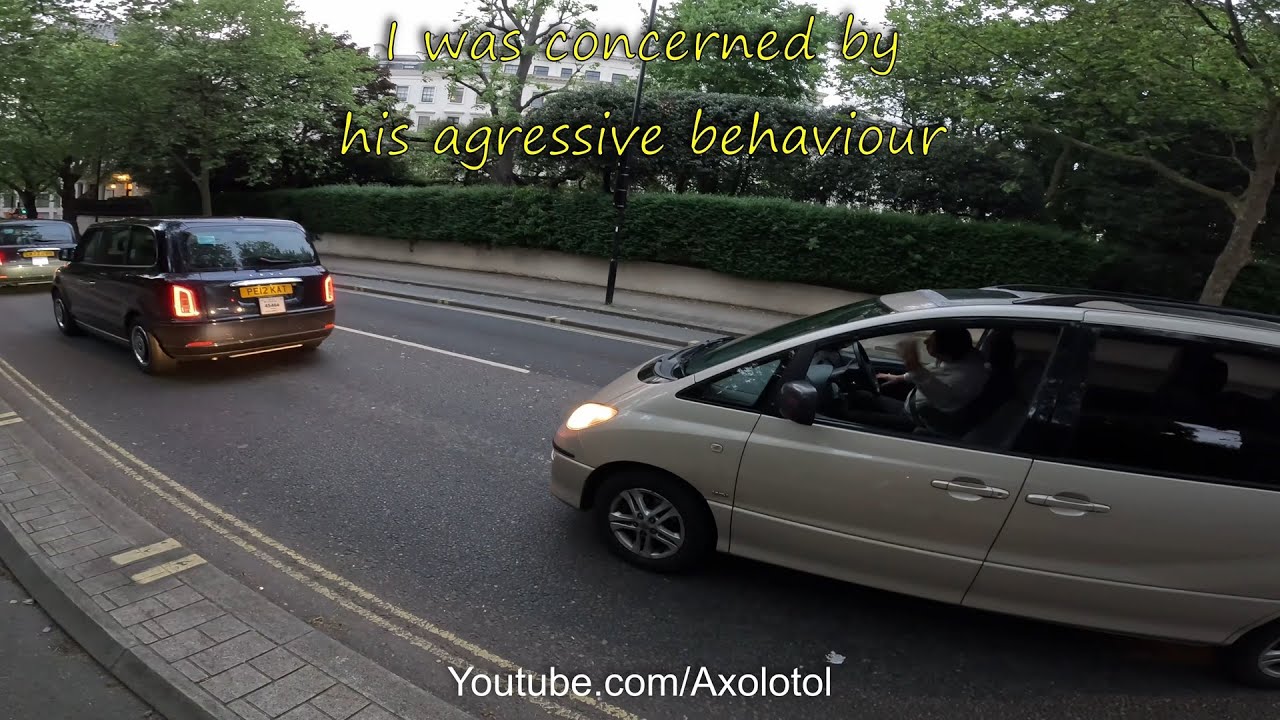 Driver growling and grunting and beeping at the car in front. Unfit to ...