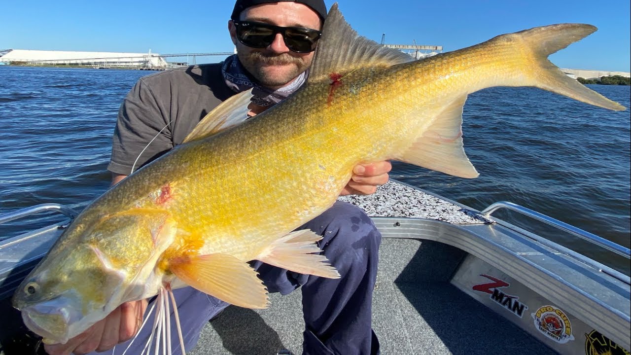 That Time of Year | Threadfin Salmon - YouTube