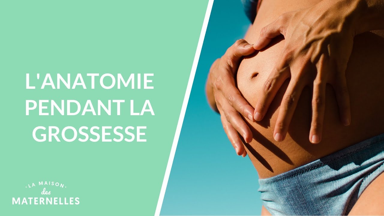L'anatomie pendant la grossesse - La Maison des maternelles #LMDM - YouTube