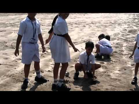 DPST TRIP OF CLASS II B - YouTube