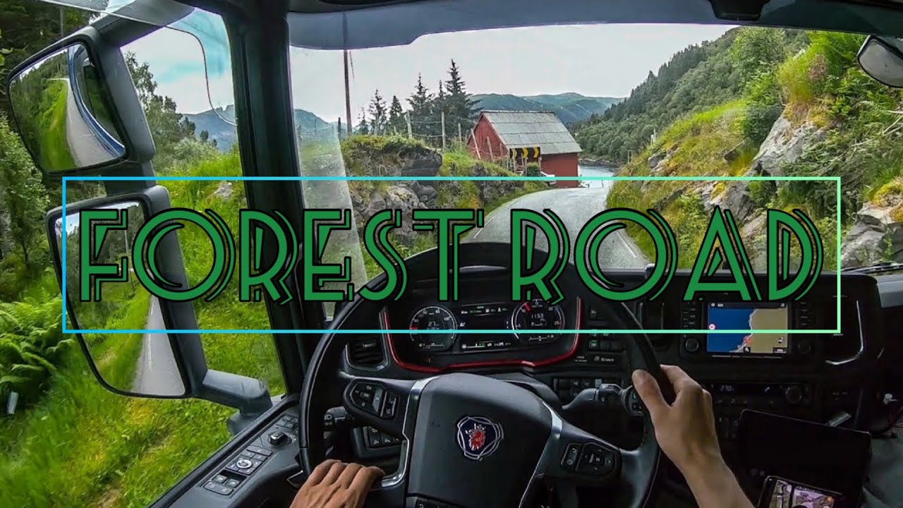 FOREST ROAD | DAF XF 480 | POV | WOLFGANG GA200 - YouTube