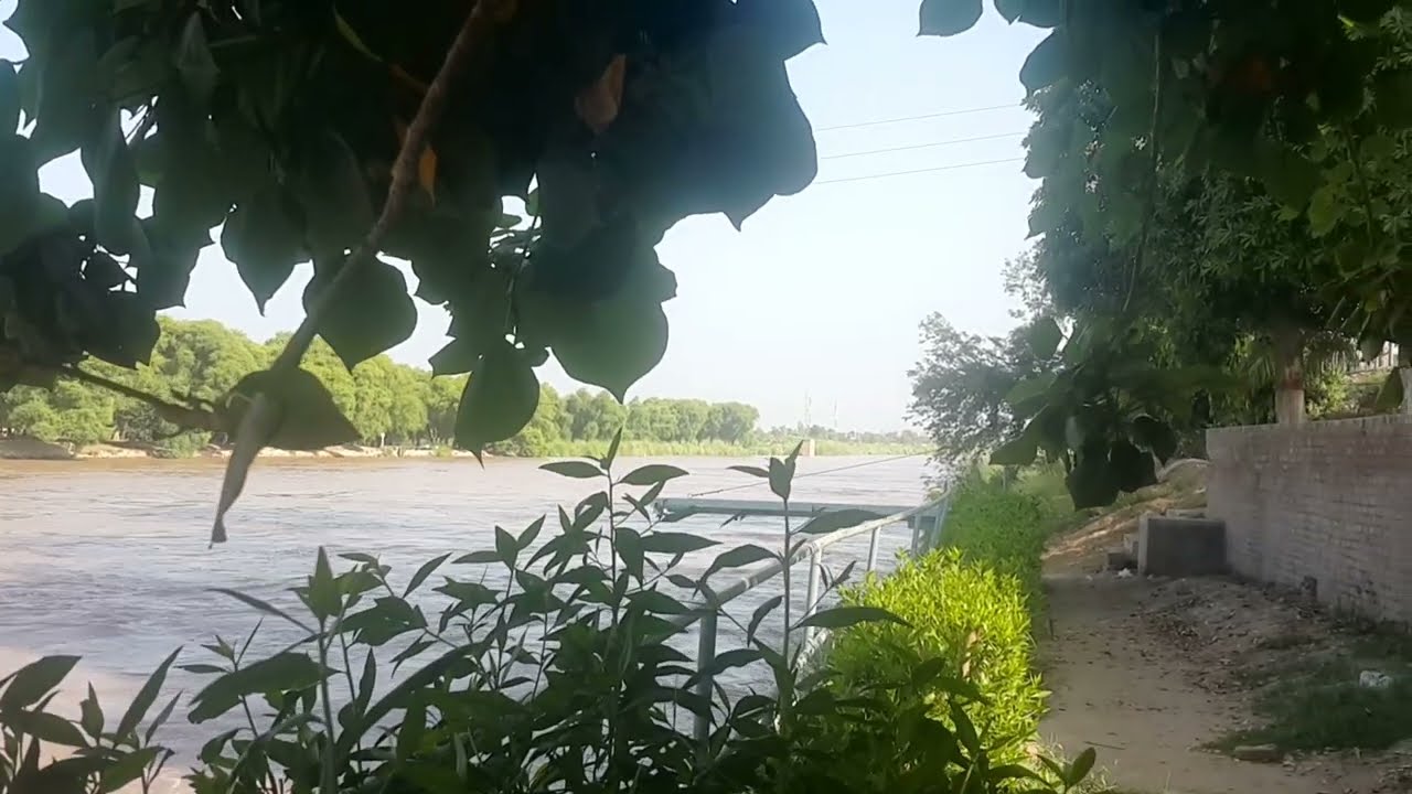 Panjnad Canal Head Panjnad Alipur Natural Beauty YouTube panjnad-canal-head-panjnad-alipur-natural-beauty-youtube