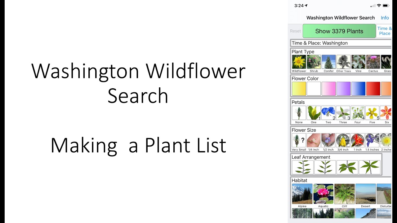 Plant List on Wildflower Search - YouTube