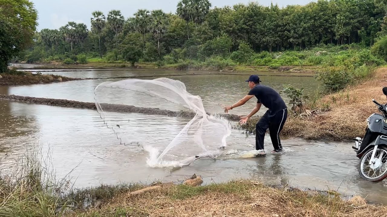 Best cast net fishing Catching fish with cast Net fishing - YouTube