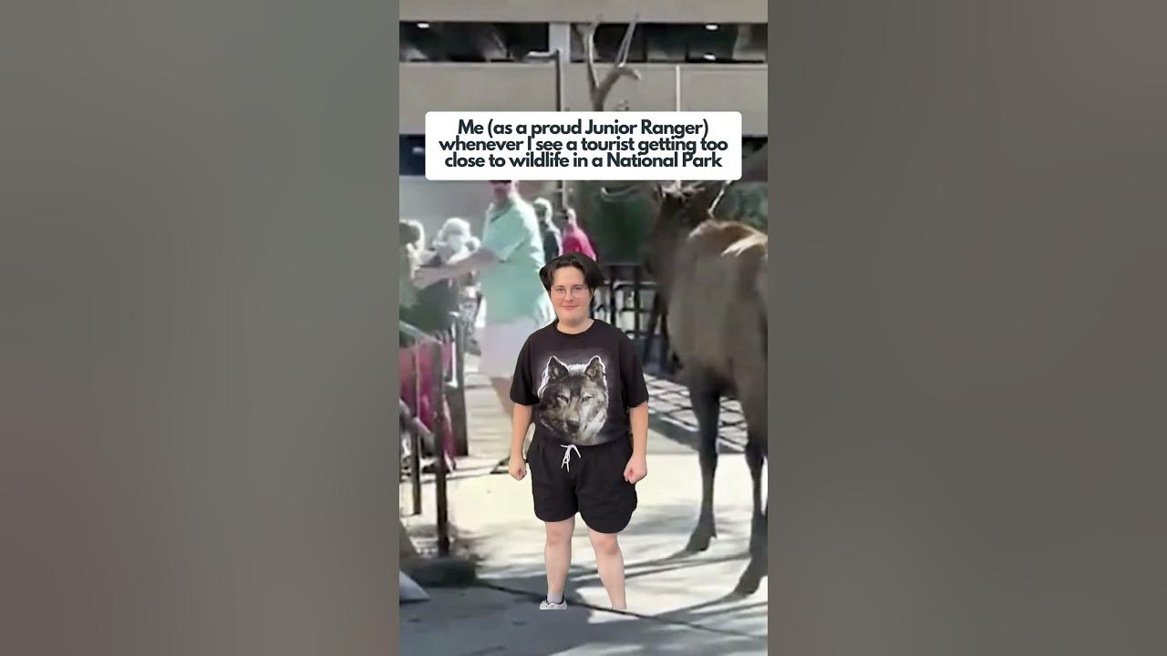 SCRAM, Leave Her Alone!!! The Elk does not want to talk to you!! #meme #shorts - YouTube
