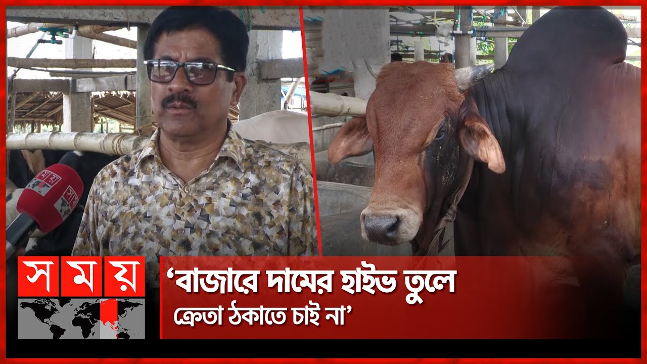গরুর মাথাগরম ঠেকাতে খামারে ঝর্ণা ও কৃত্রিম বৃষ্টি | Qurbani Cow | Cattle Farm | Bagerhat | Somoy ...
