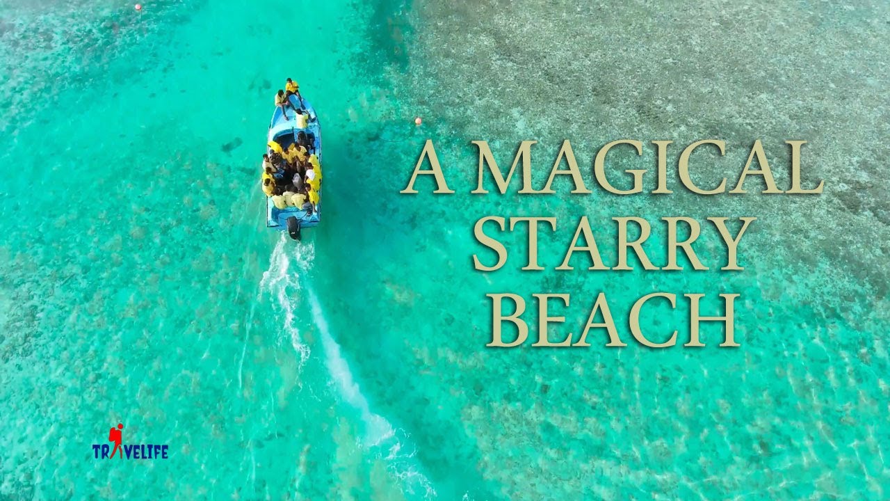 Magical Starry Beach | sea of stars Maldives | Vaadhoo Island | What's ...