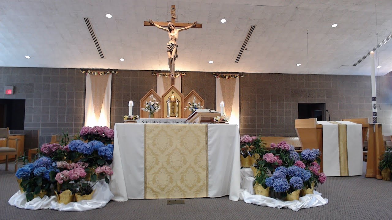 12th Sunday of OT (vigil) - YouTube
