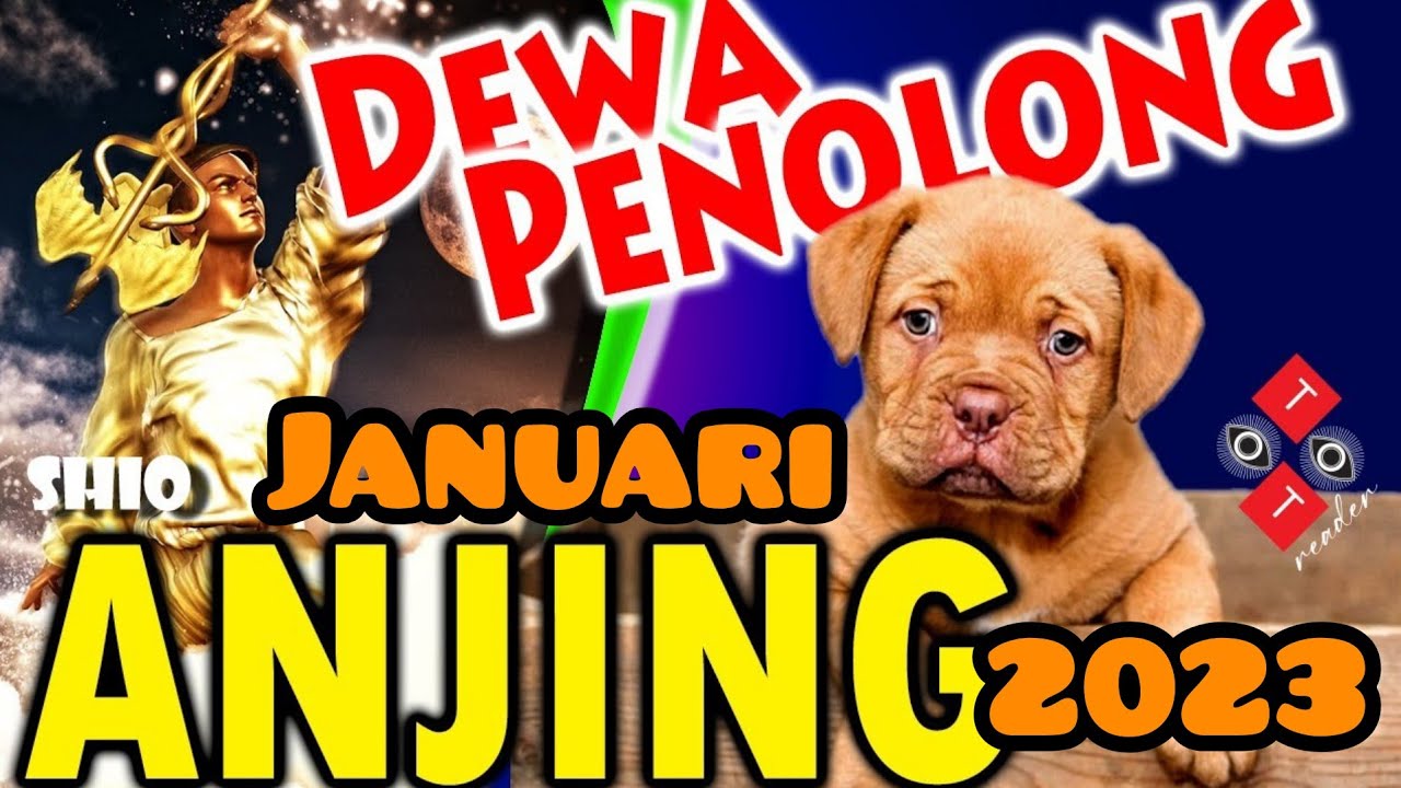 Ramalan SHIO ANJING di bulan JANUARI 2023 ( th KELINCI AIR ) , banyak ...