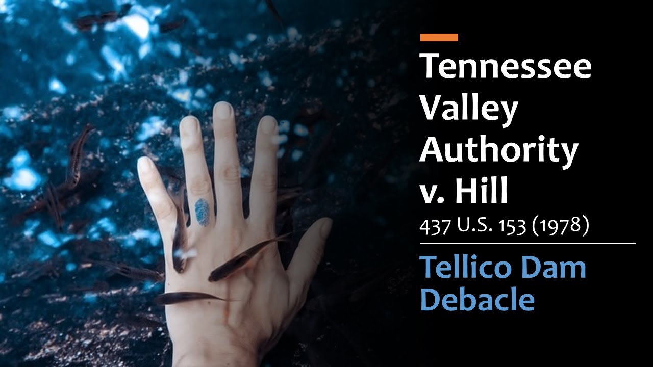 Tennessee Valley Authority v. Hill - The Tellico Dam Debacle - YouTube