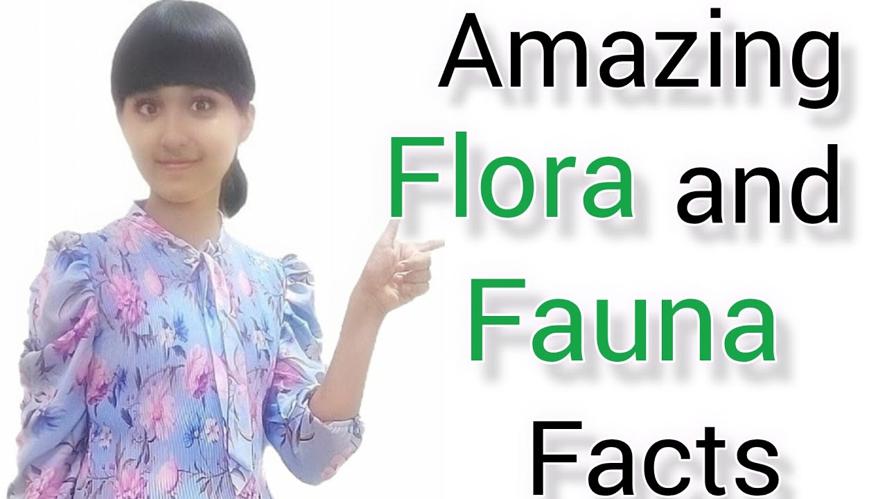 Amazing flora and fauna facts #flora #fauna #facts #educationalvideos ...
