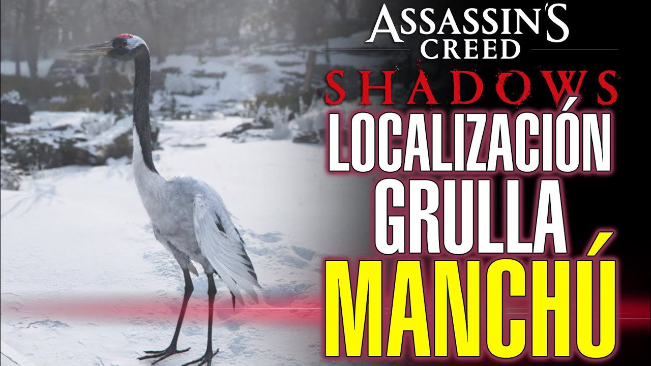 Localización GRULLA MANCHÚ LEGENDARIA en Assassin's Creed Shadows - YouTube