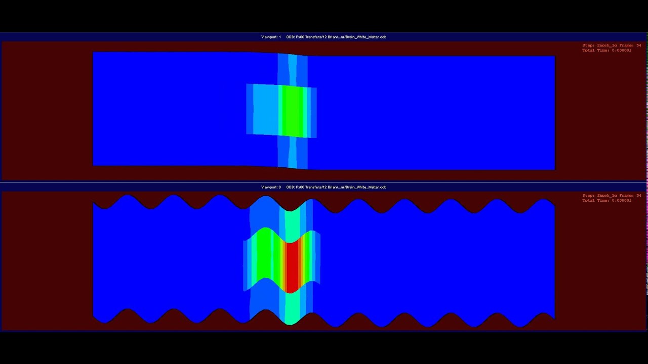 Effect of Axon Undulation on the Propagation of Shear Stress Wave - YouTube