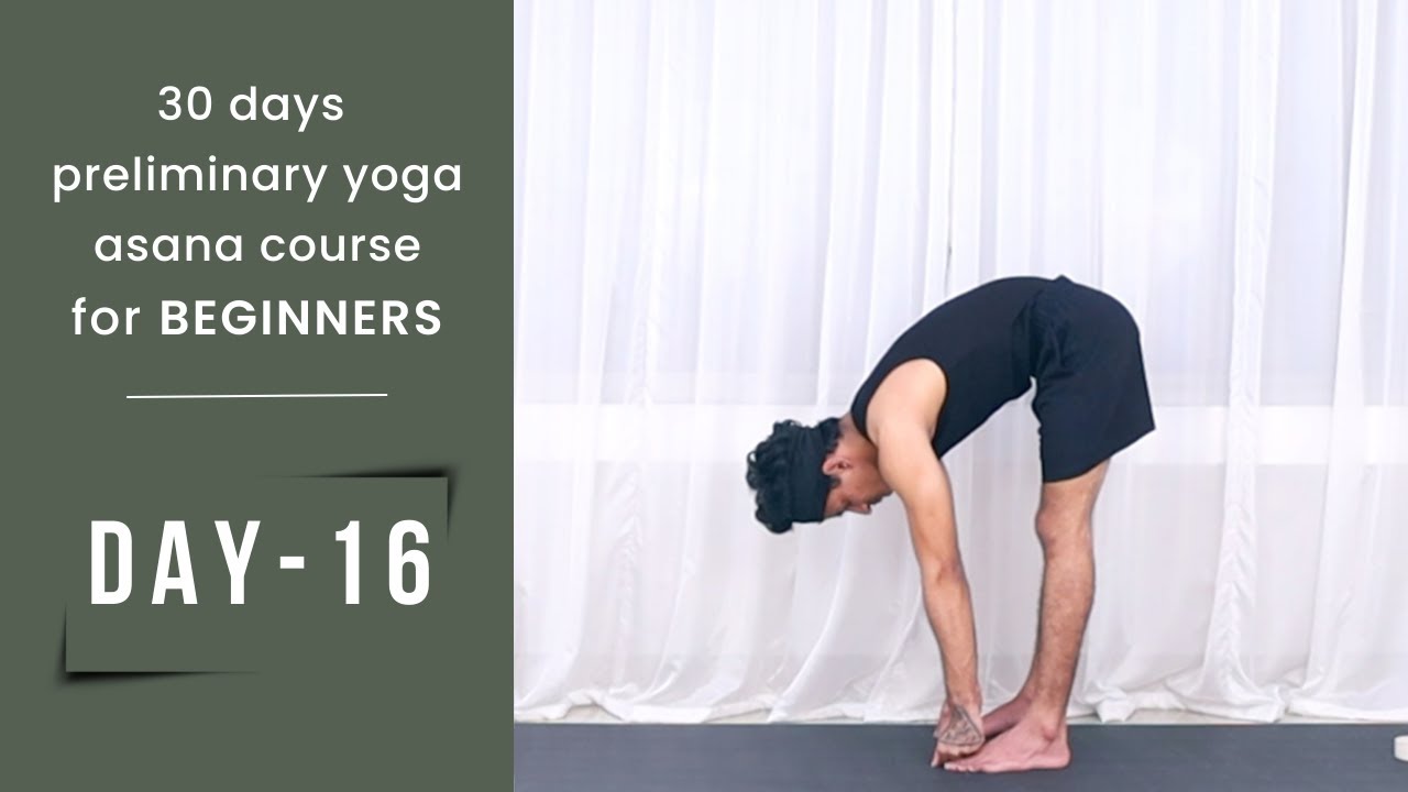 30 days preliminary yoga asana course for beginners | Body alignment and posture | DAY - 16 ...