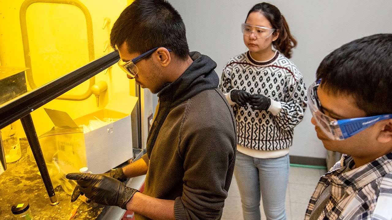 Study Materials Science and Engineering at The Grainger College of ...