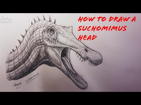 How to Draw a Suchomimus Head - YouTube