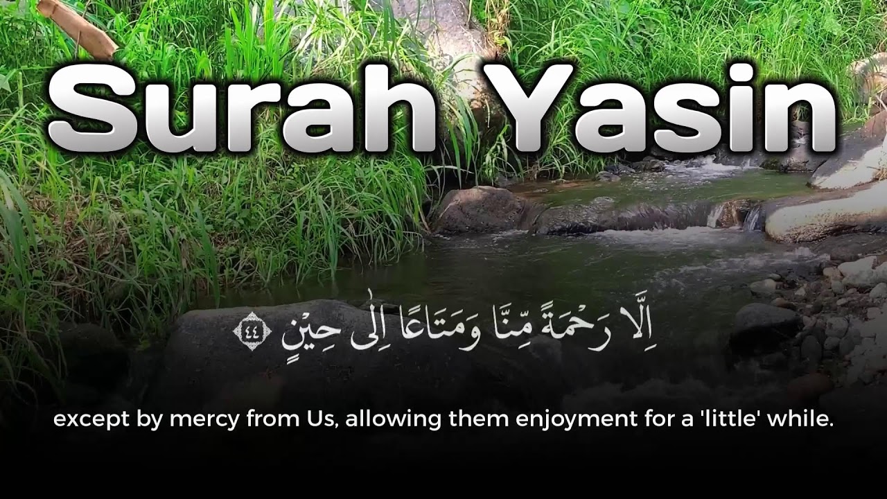 Relaxing Recite Surah Yasin to Rest Your Weary Soul Tonight (راحة الروح ...