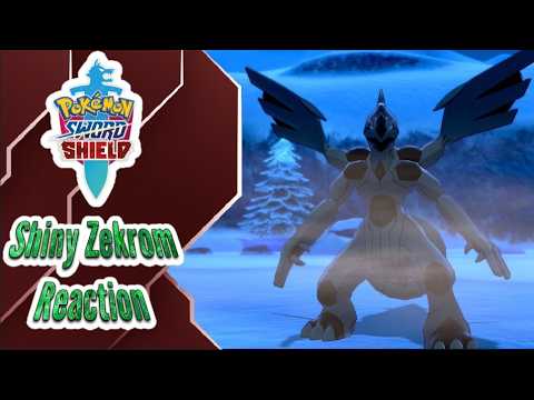 Shiny Zekrom! Pokemon Sword & Shield! - YouTube