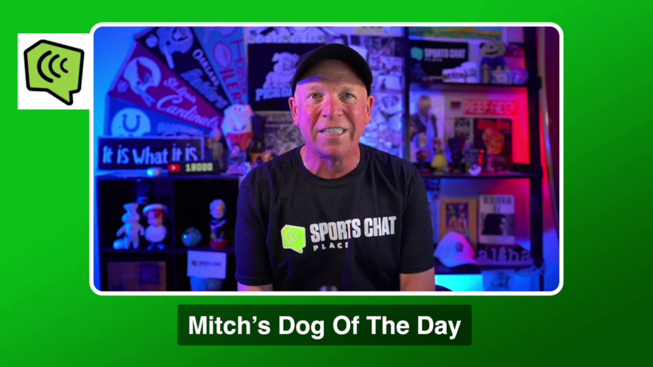 Mitch's Dog of the Day 8/23/20: Free MLB Pick MLB Picks, Predictions ...