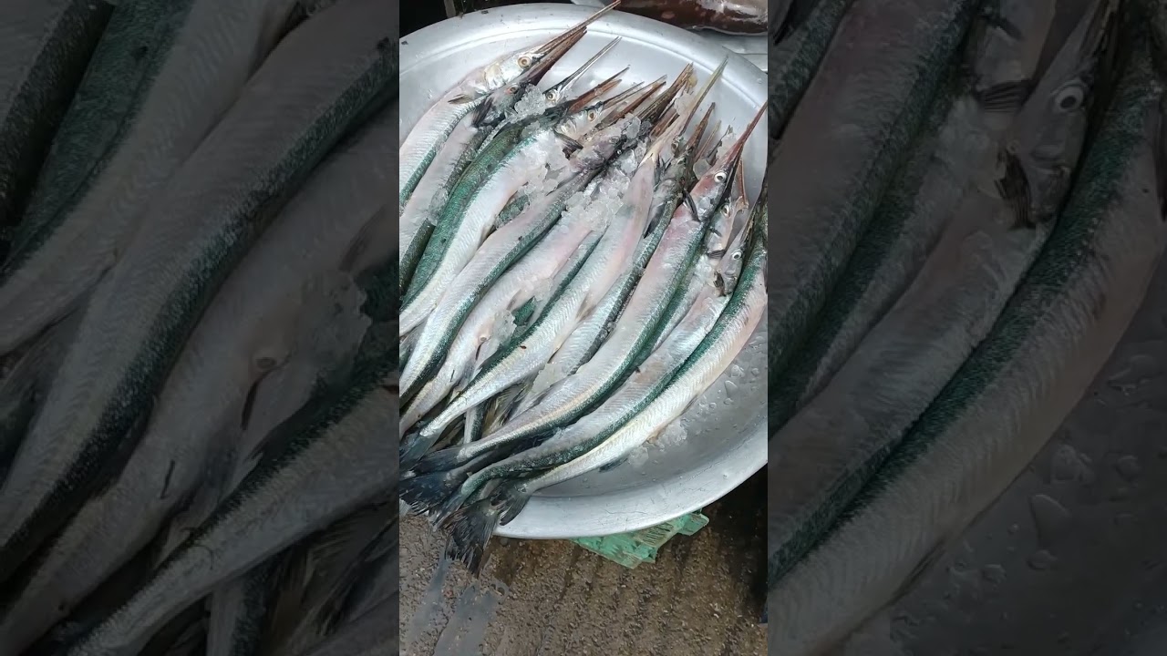 Kakila fish ( Delicious 😋 food) - YouTube