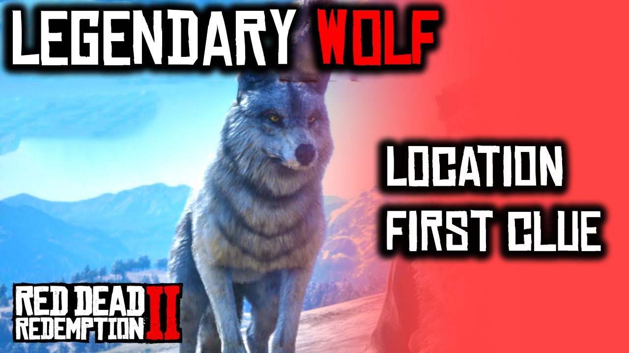 Red Dead Redemption 2 Legendary Wolf | Location and FIRST Clue - YouTube