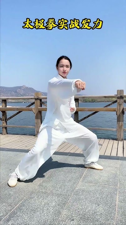 太极实战发力,爆发极强,攻势如风!太极拳 弘扬中华武术 中国功夫 Youtube