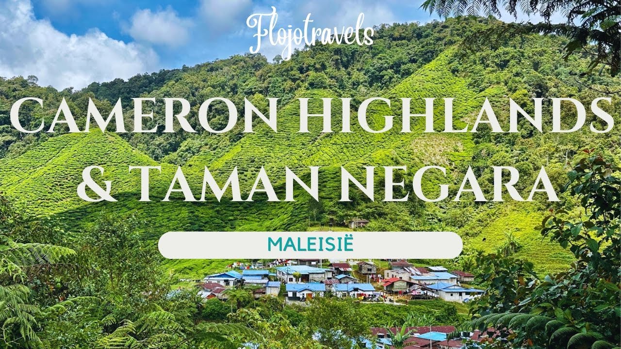 CAMERON HIGHLANDS & TAMAN NEGARA, MALEISIË | WERELDREISVLOG 9 - YouTube